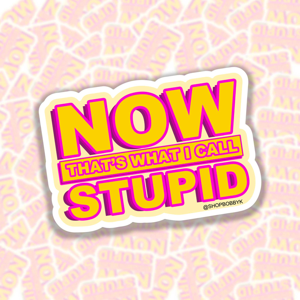 **SALE** Now That's What I Call Stupid Sticker | Ever Jane Boutique